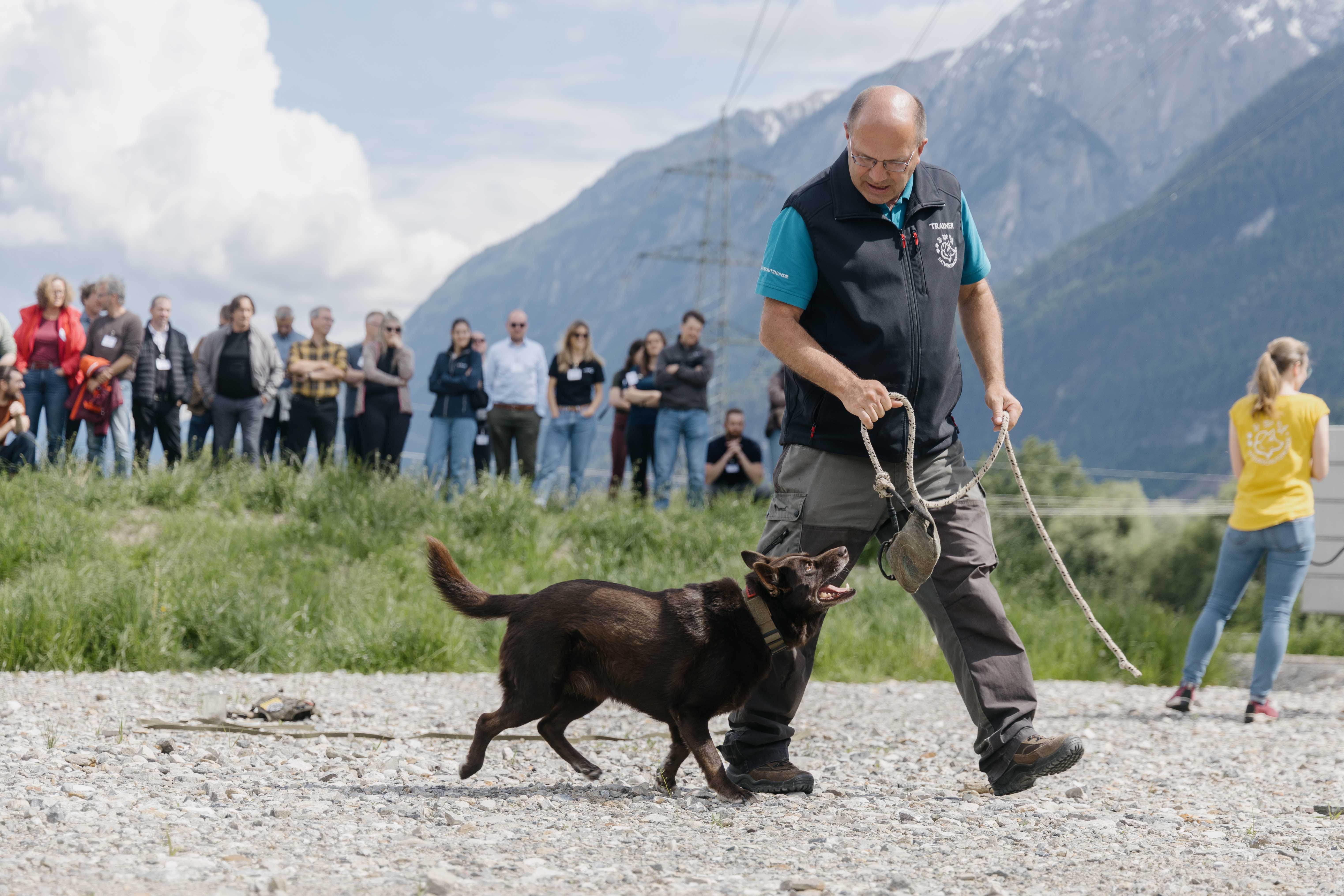 Netzausbau und Biodiversität gemeinsam denken: APG-Naturschutztagung ...